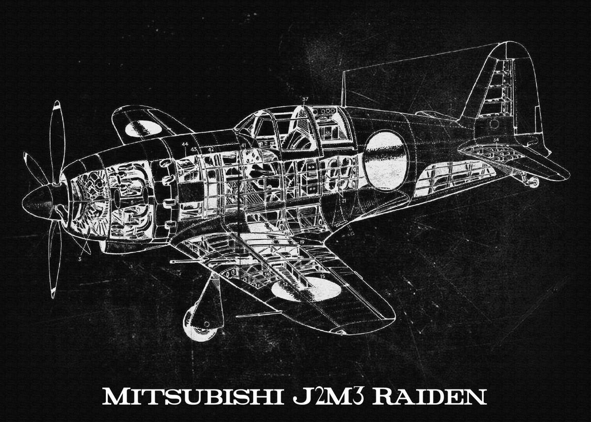 'Mitsubishi J2M3 Raiden' Poster, picture, metal print, paint by JAT ...