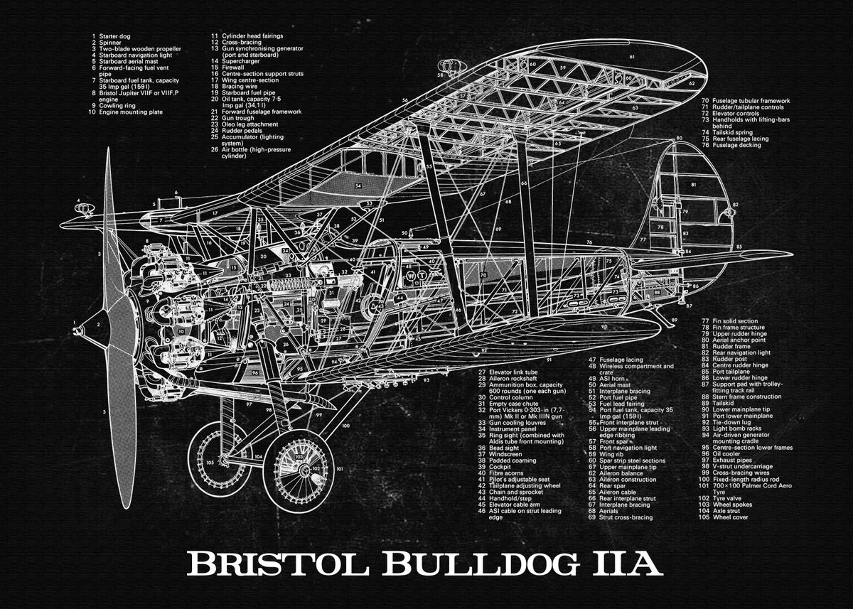 'Bristol Bulldog IIA' Poster, picture, metal print, paint by JAT ...