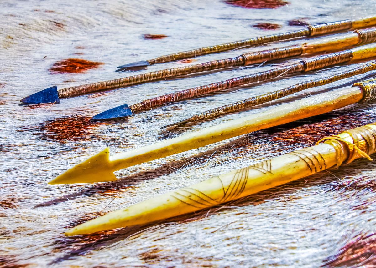 'Bushman arrows' Poster, picture, metal print, paint by Charel ...