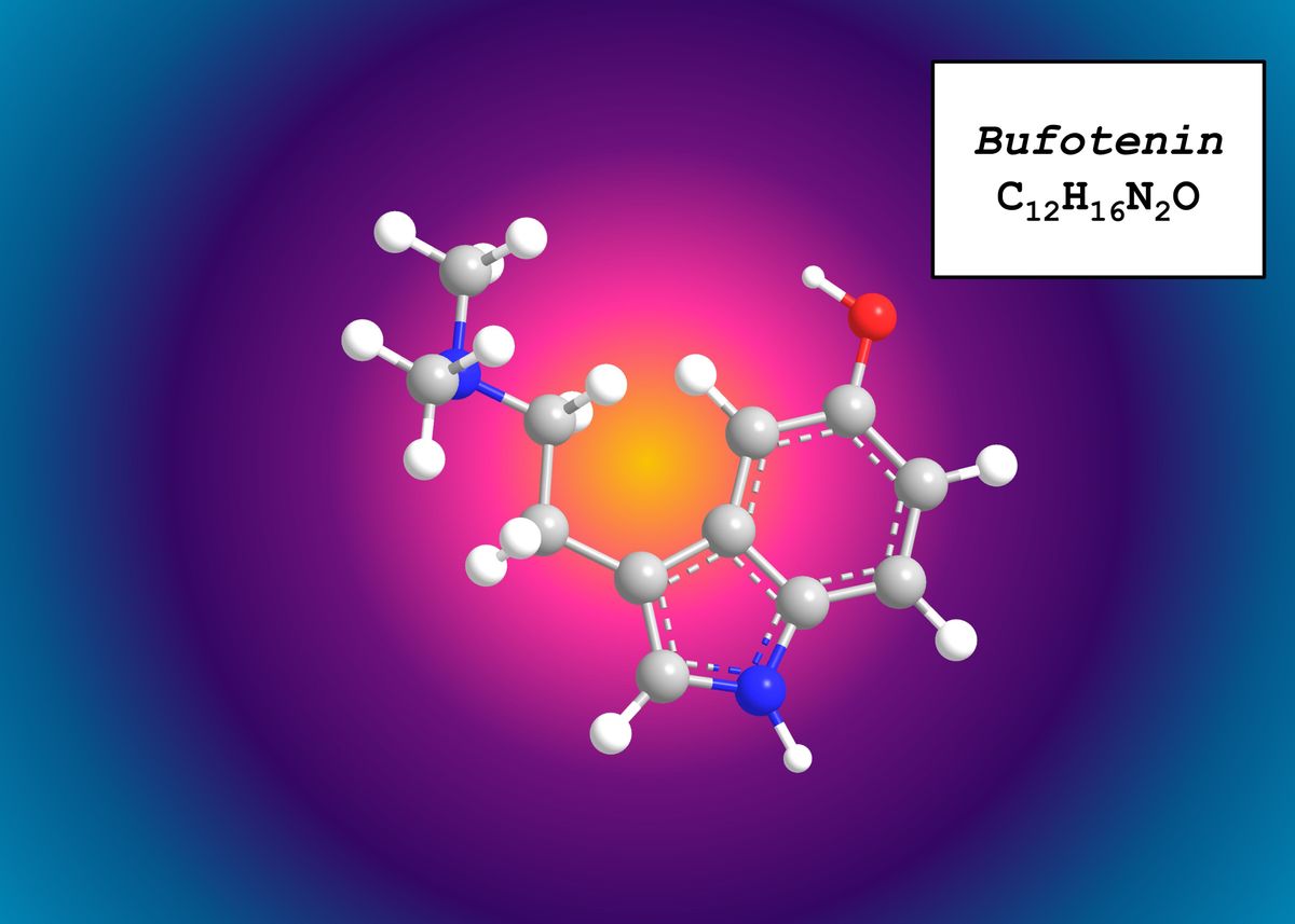 'Bufotenin' Poster, picture, metal print, paint by ChemECool | Displate