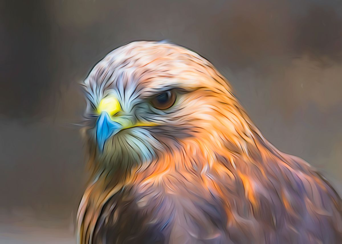 'Buzzard Bird' Poster, picture, metal print, paint by Armstrong | Displate