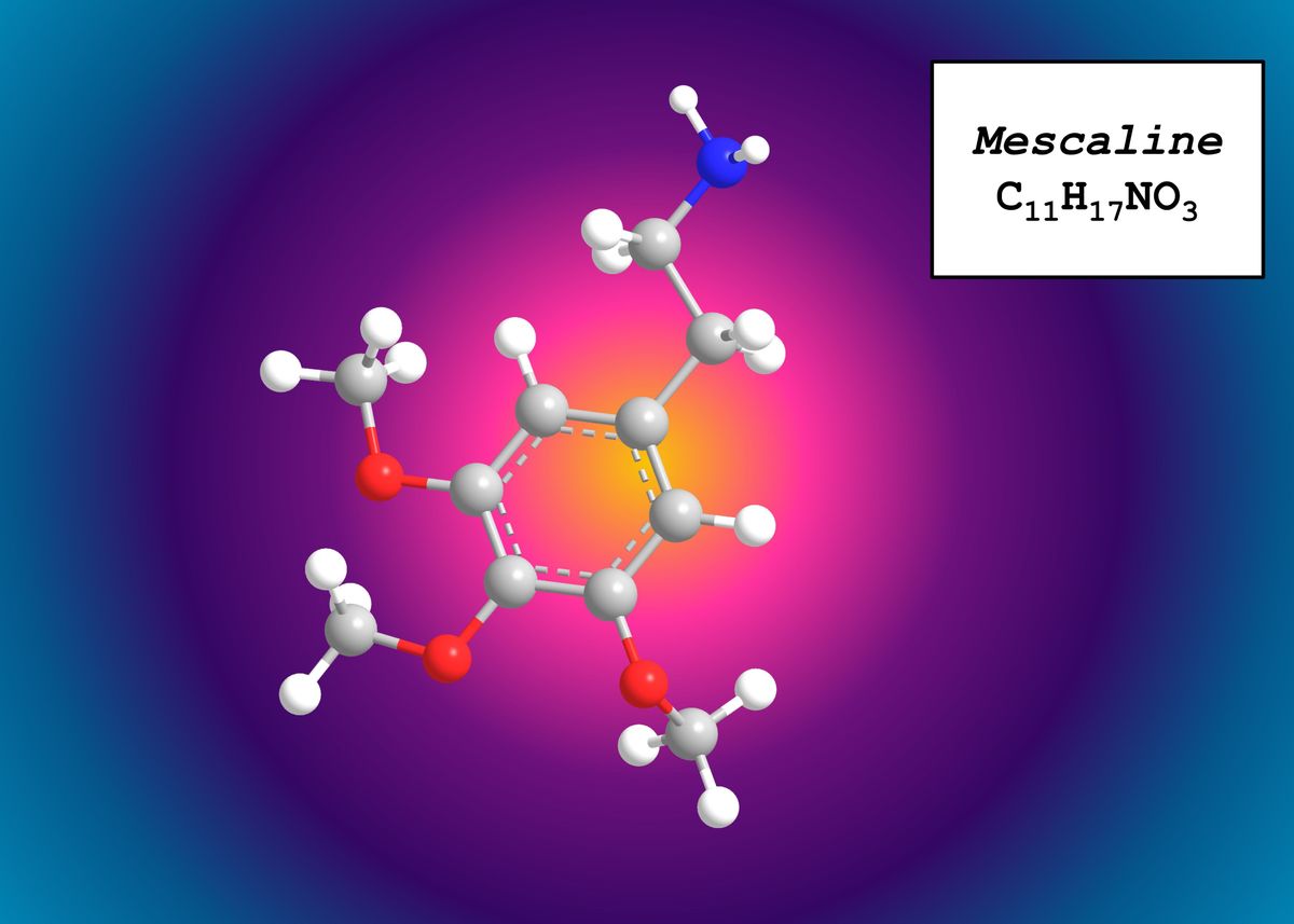 'Mescaline' Poster, picture, metal print, paint by ChemECool | Displate