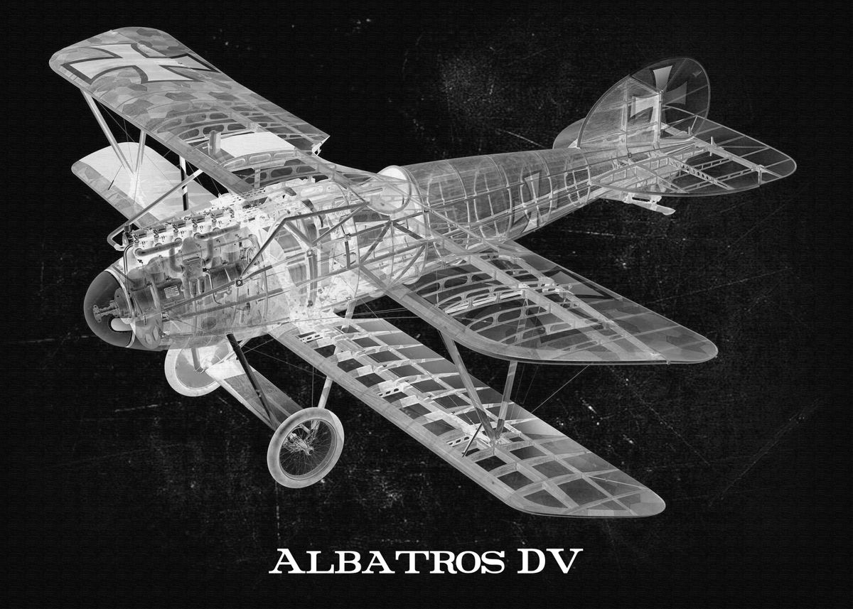 'Albatros DV' Poster, picture, metal print, paint by JAT DESIGNS | Displate