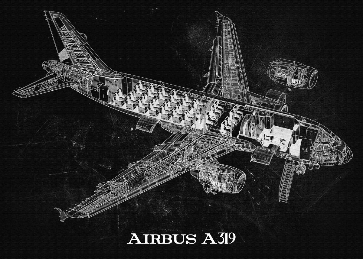 'Airbus A319' Poster, picture, metal print, paint by JAT DESIGNS | Displate