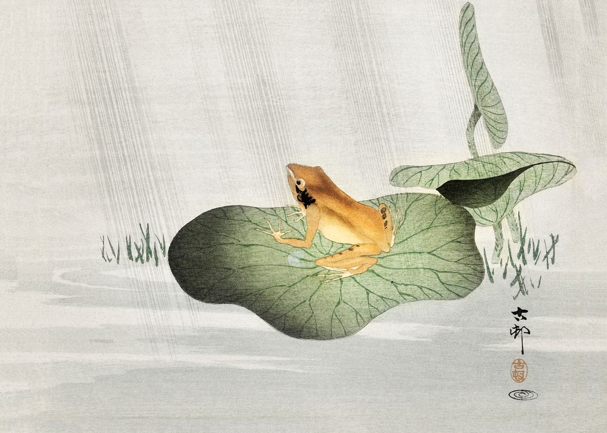 'Frog on lotus leaf' Poster by tony4urban | Displate