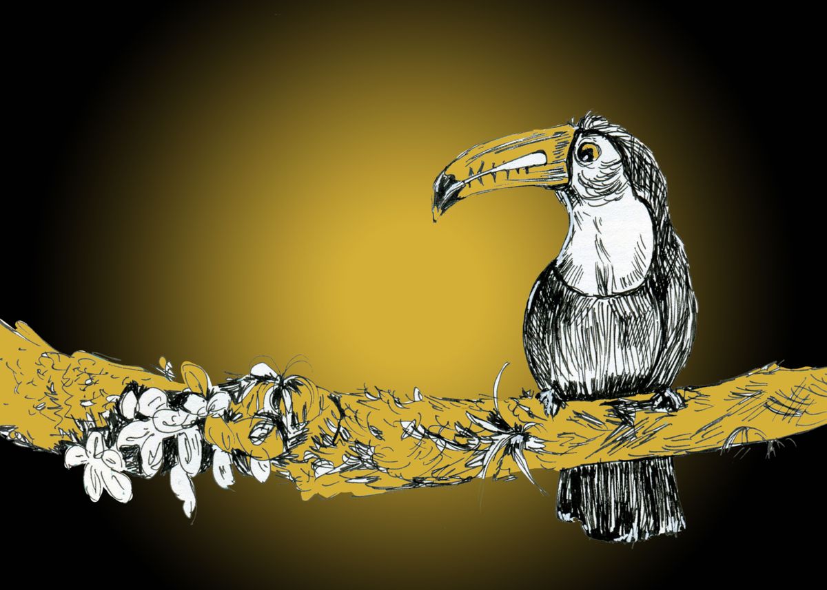 'Mr Toucan' Poster by Mehak Mittal | Displate