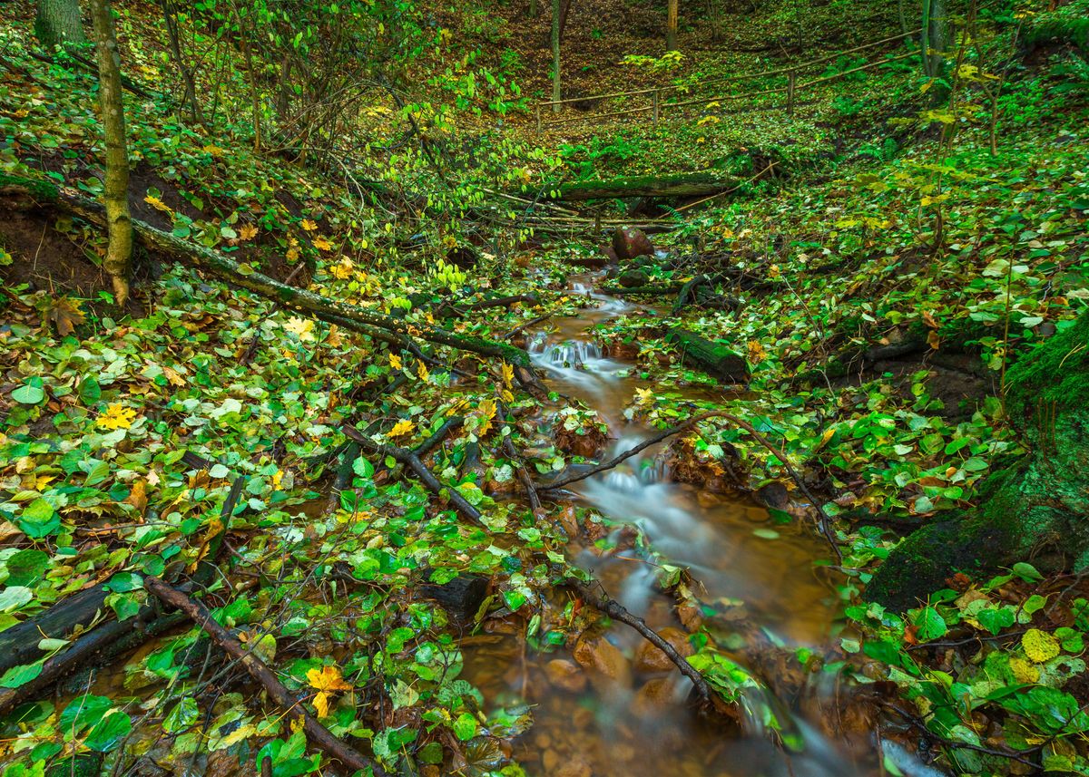 'Fall Red Europe Landscape ' Poster, picture, metal print, paint by ...