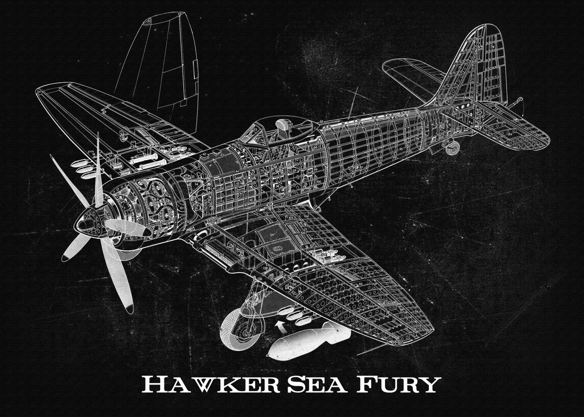 'Hawker Sea Fury' Poster, picture, metal print, paint by JAT DESIGNS ...
