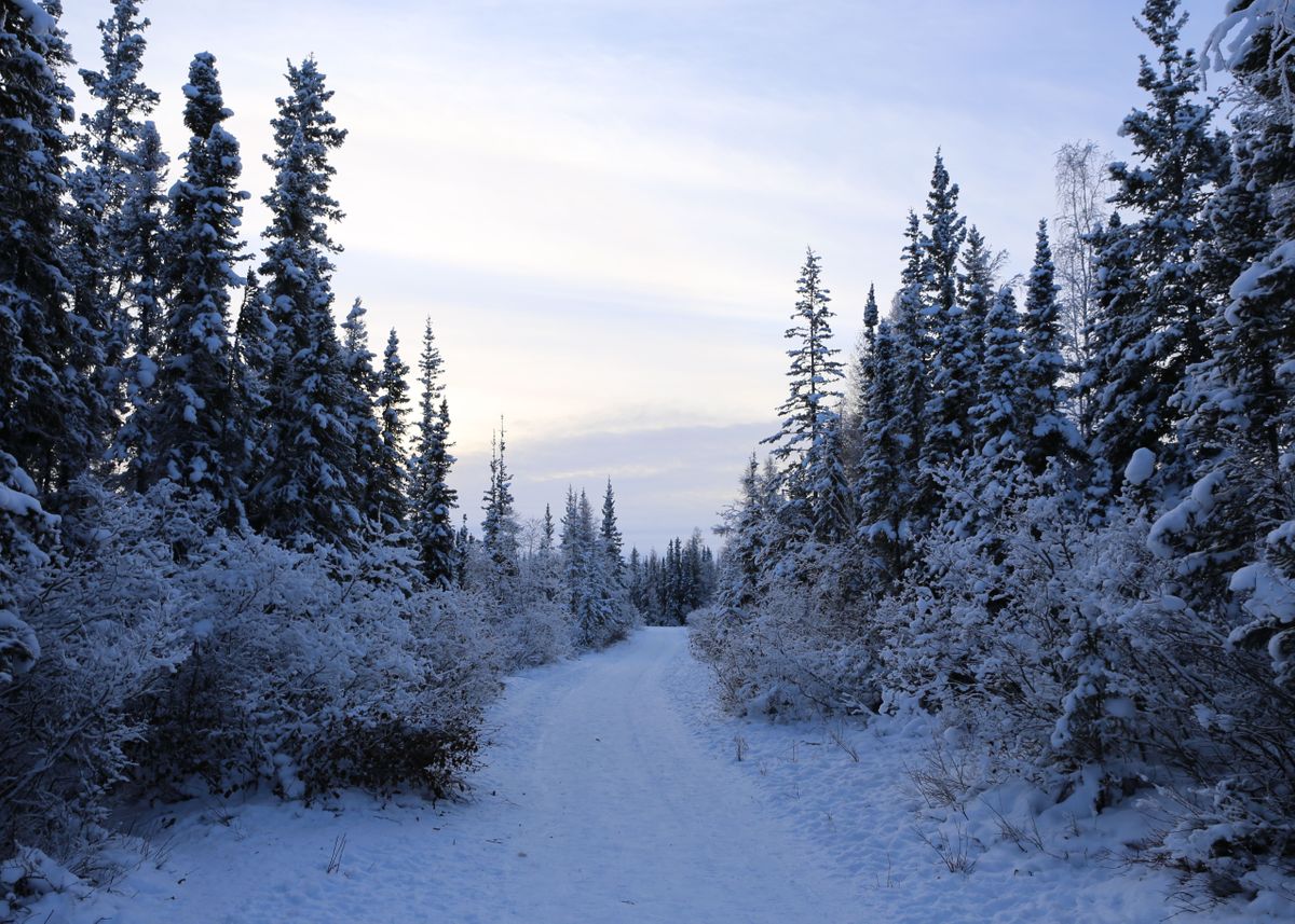 'Yellowknife countryside 01' Poster, picture, metal print, paint by ...