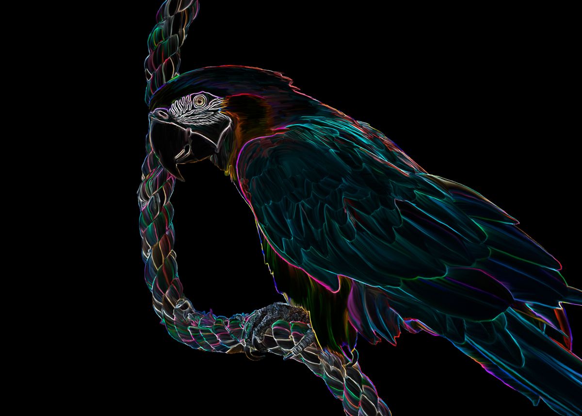 'Midnight Macaw' Poster by Jennifer Harris | Displate