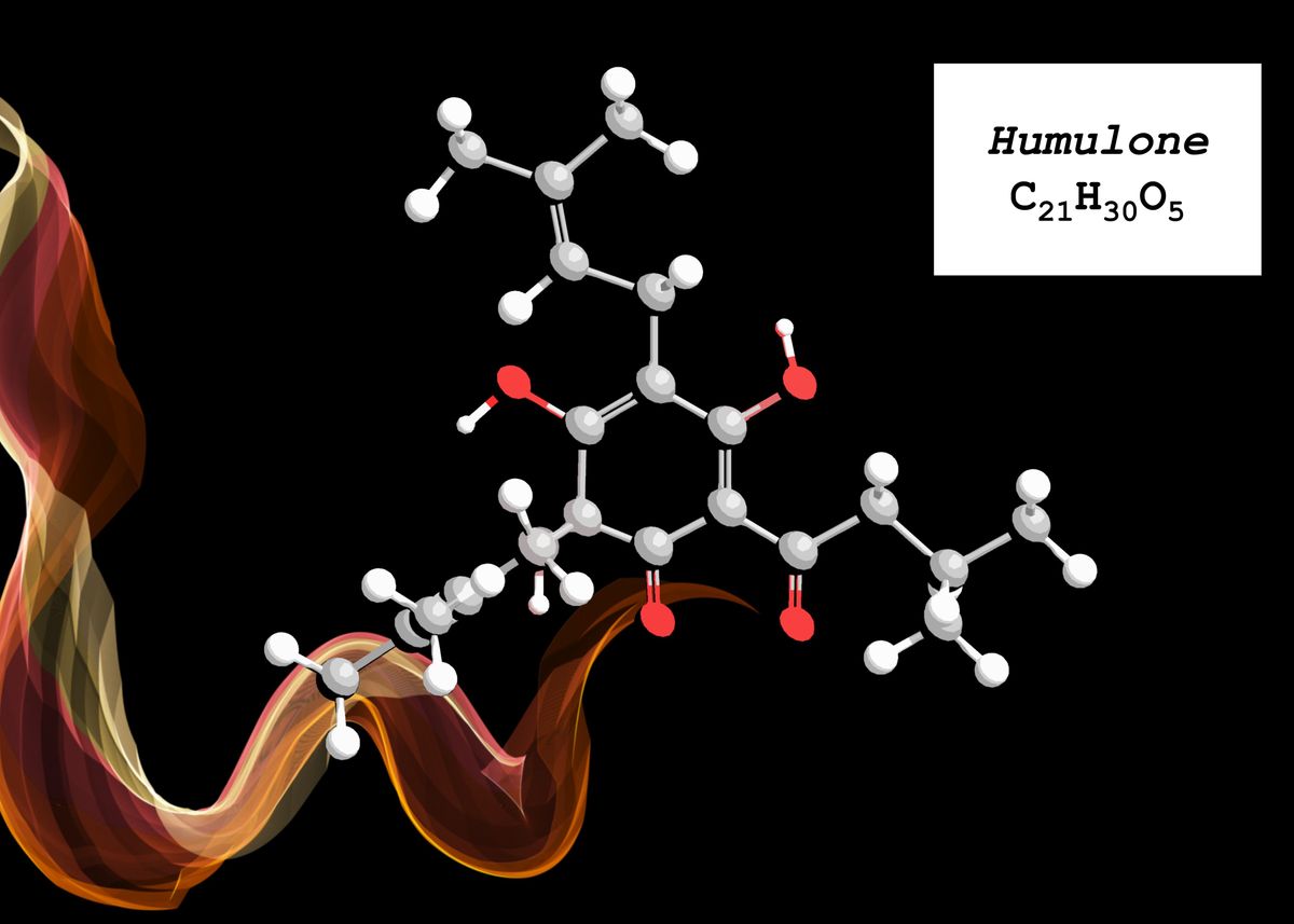 'Humulone' Poster, picture, metal print, paint by ChemECool | Displate