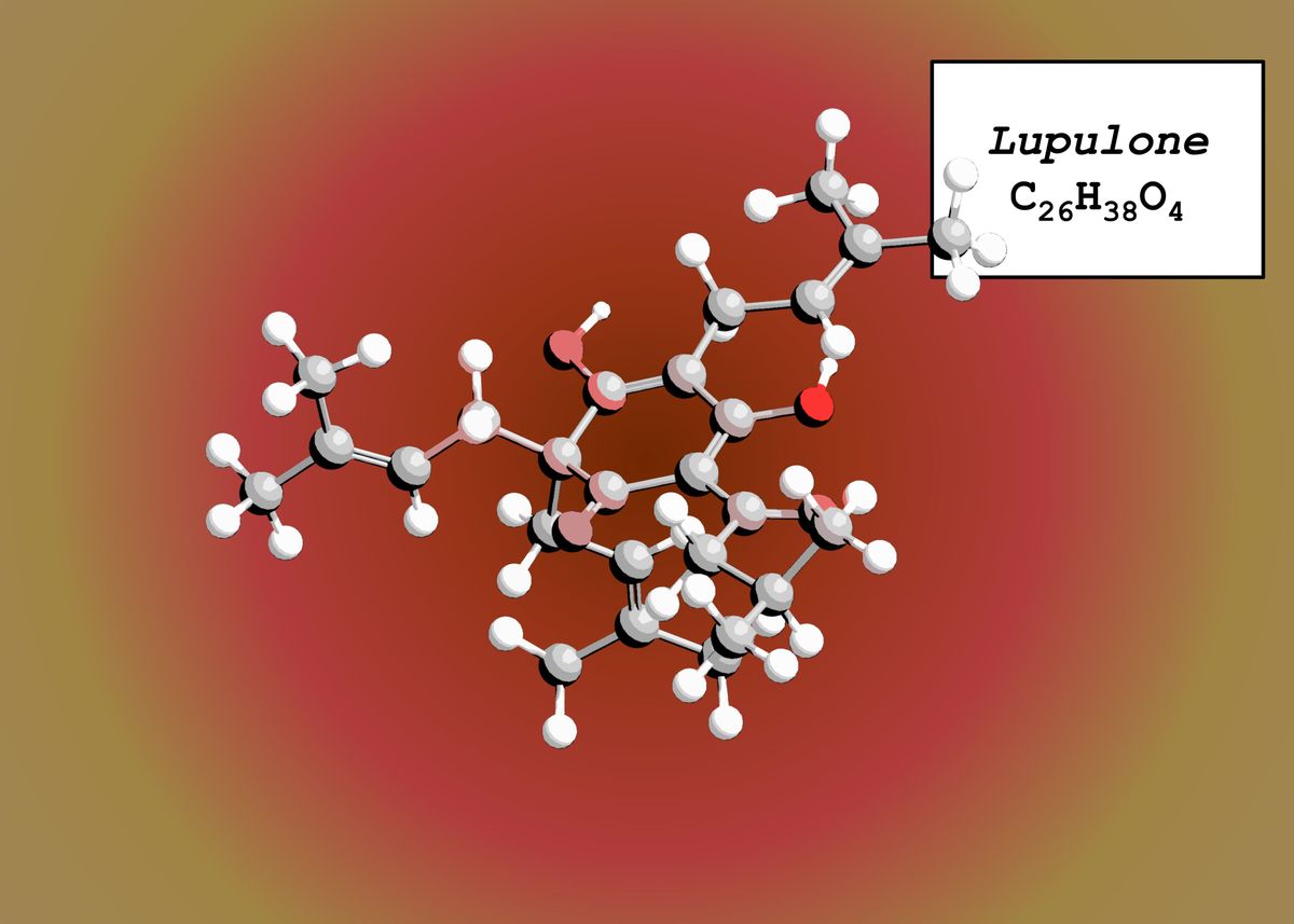 'Lupulone' Poster by ChemECool | Displate