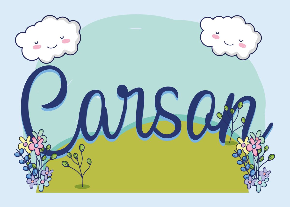 'CARSON Baby Name Sign Gift' Poster, picture, metal print, paint by ...