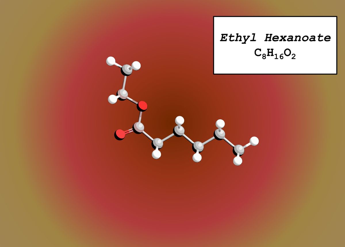 'Ethyl Hexanoate' Poster, picture, metal print, paint by ChemECool ...