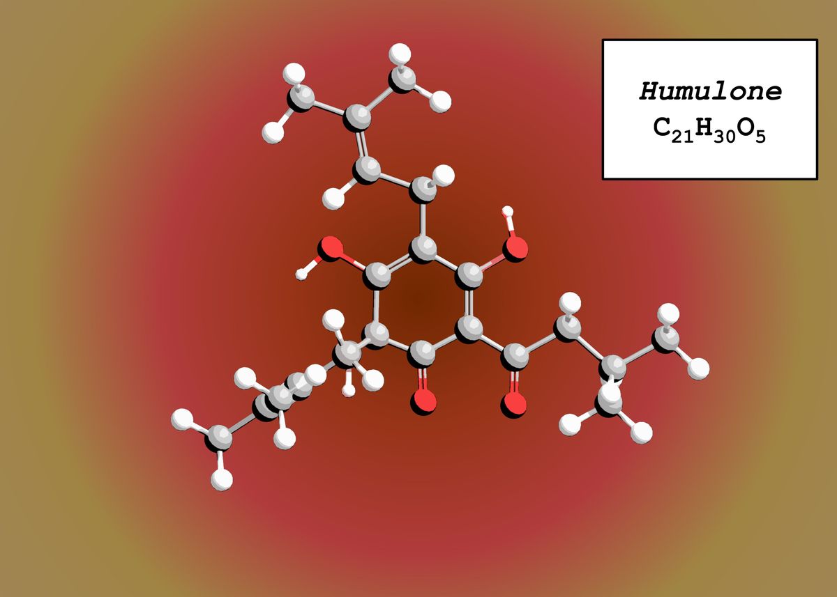 'Humulone' Poster by ChemECool | Displate