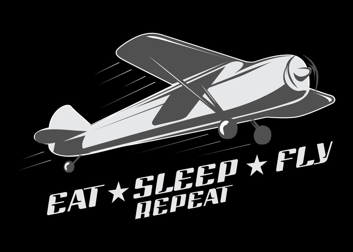 'Eat Sleep Fly Repeat' Poster, picture, metal print, paint by Designzz ...
