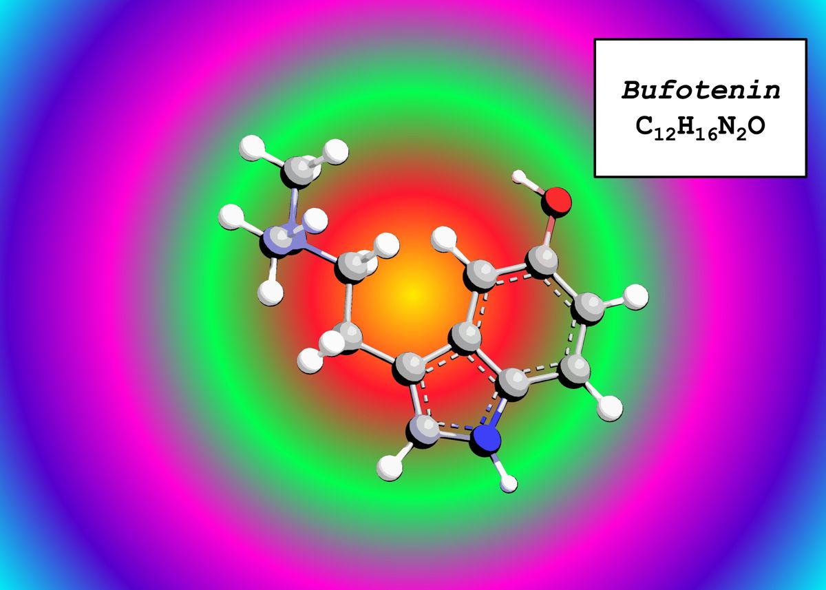 'Bufotenin' Poster by ChemECool | Displate
