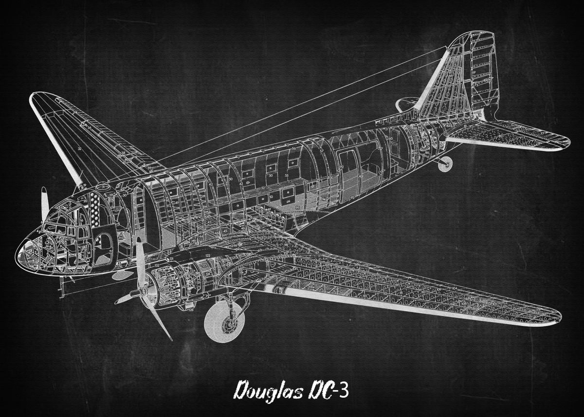 'Douglas DC3' Poster, picture, metal print, paint by DAVID CARL PLATES ...