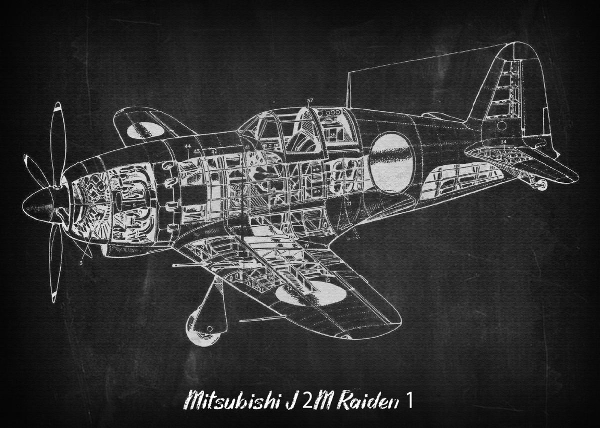 'Mitsubishi J 2M Raiden 1' Poster by MICHAEL BRUNS PLATES | Displate