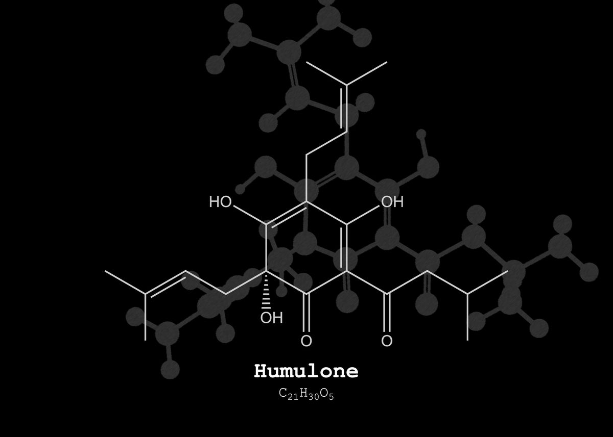 'Humulone' Poster by ChemECool | Displate