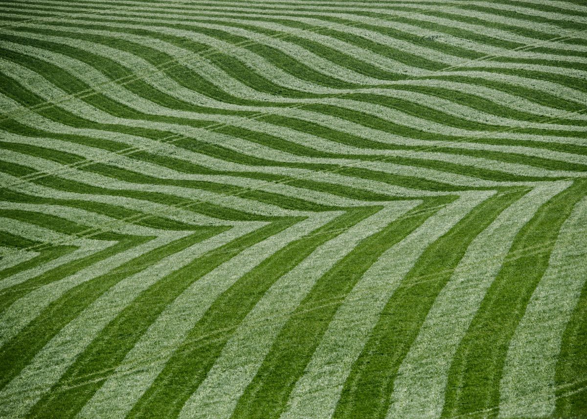 'Patterns in the Grass 1' Poster, picture, metal print, paint by Steve ...