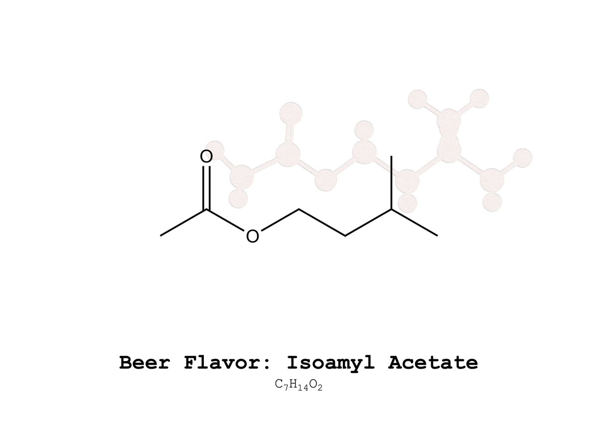 'Isoamyl Acetate' Poster by ChemECool | Displate