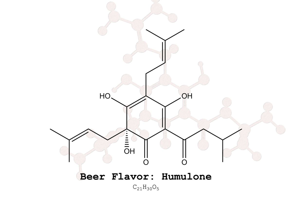 'Humulone' Poster, picture, metal print, paint by ChemECool | Displate