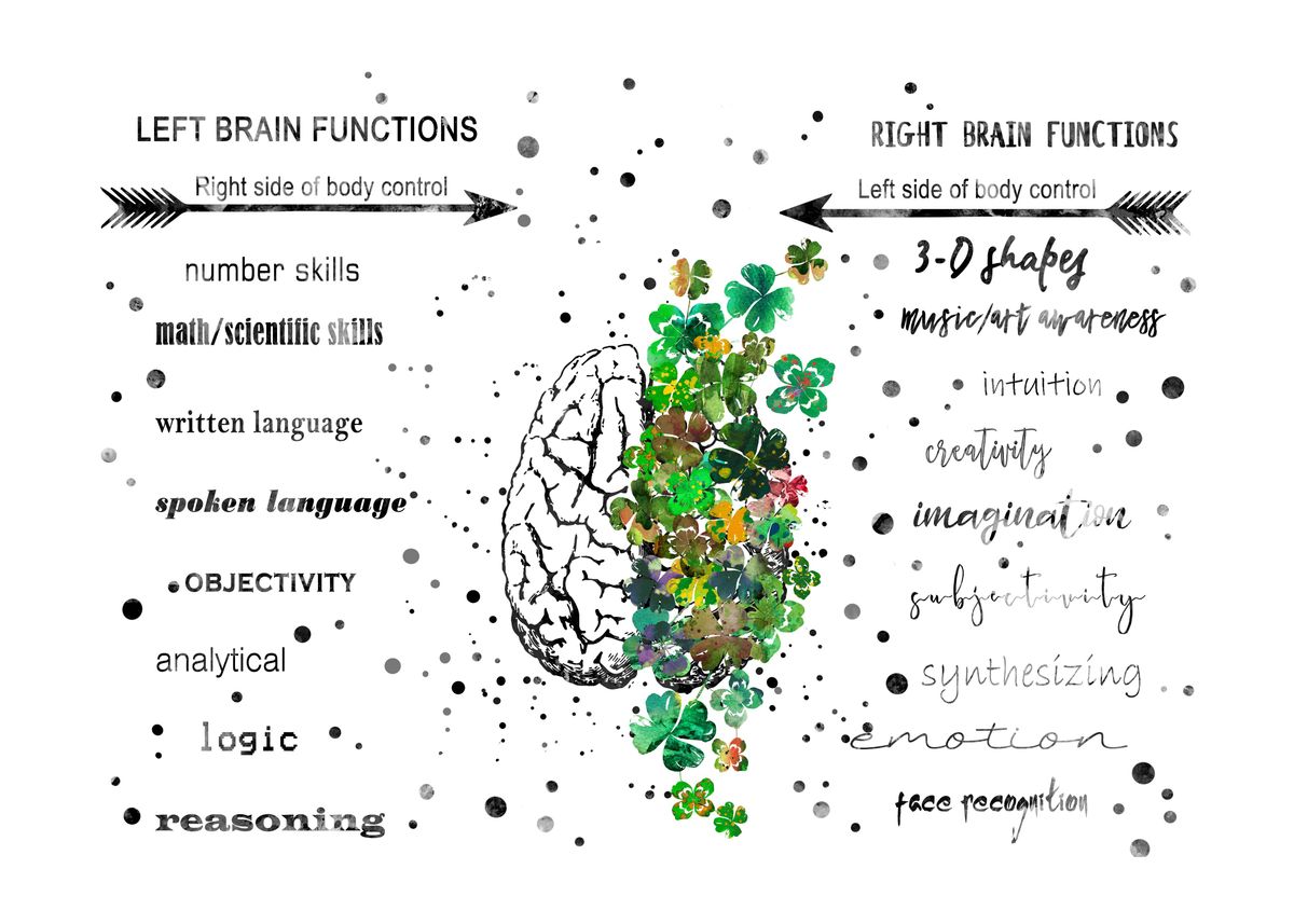 'Left and right brain function ' Poster by RosaliasArt | Displate