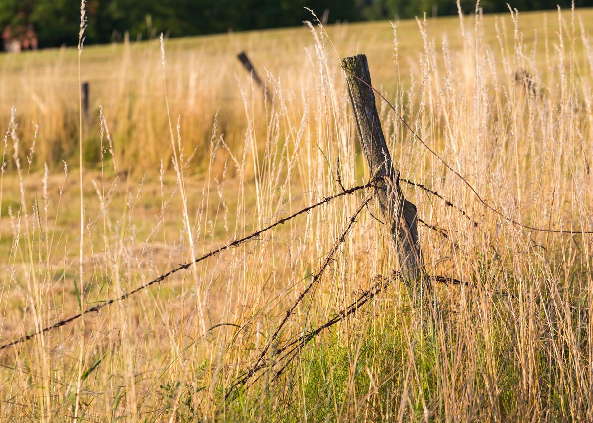 'Grass Field Fence Landscap' Poster by Noah | Displate