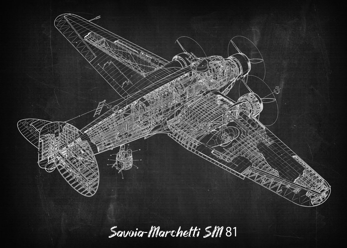 'SavoiaMarchetti SM 81' Poster, picture, metal print, paint by DAVID ...