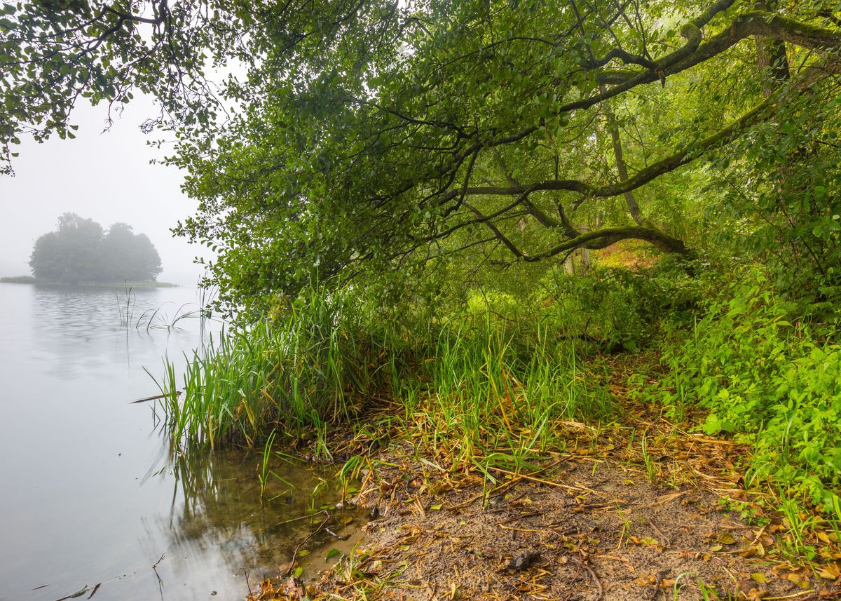 'Water River Lake Landscape' Poster by Noah | Displate