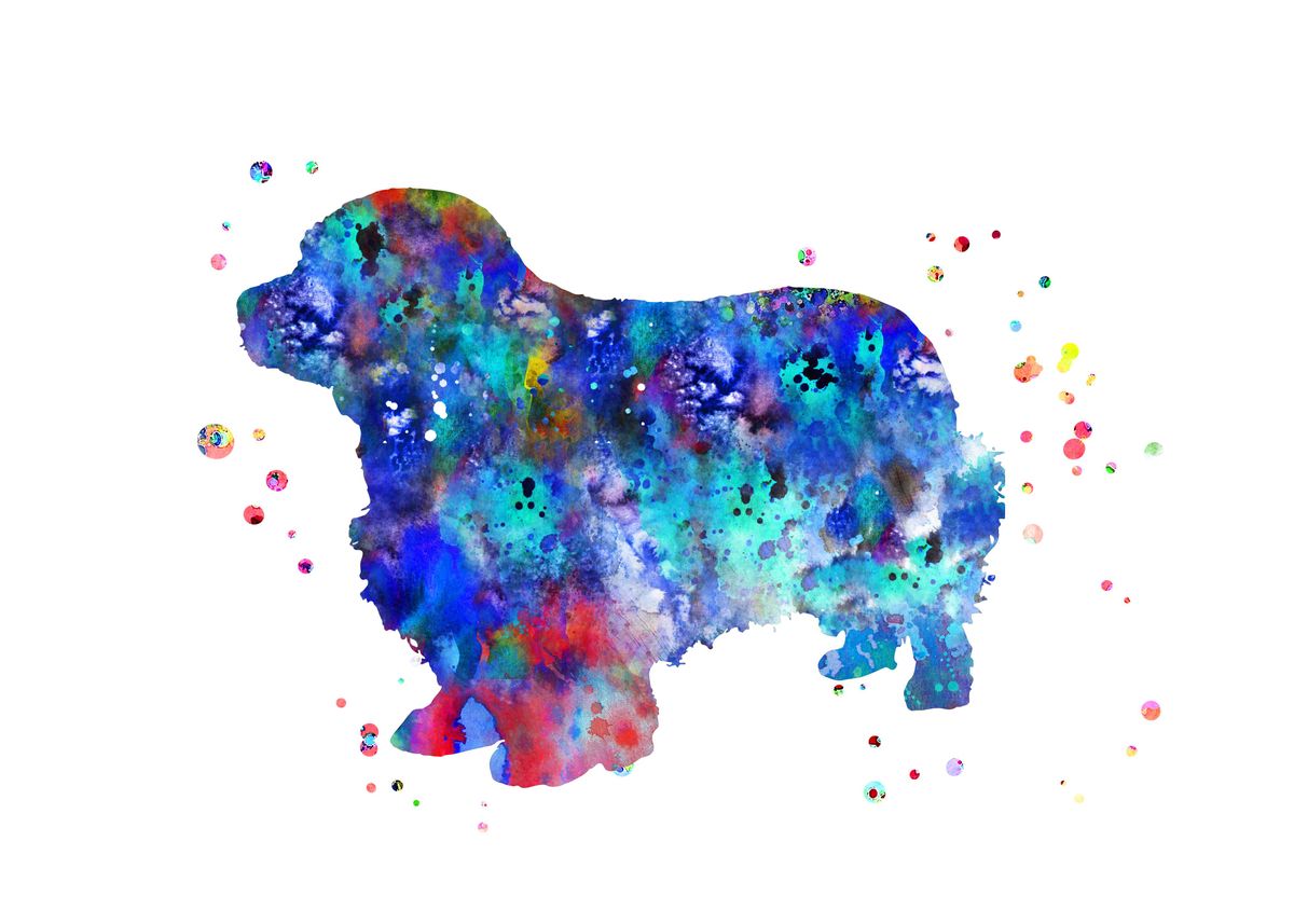 'Clumber Spaniel ' Poster, picture, metal print, paint by RosaliasArt ...
