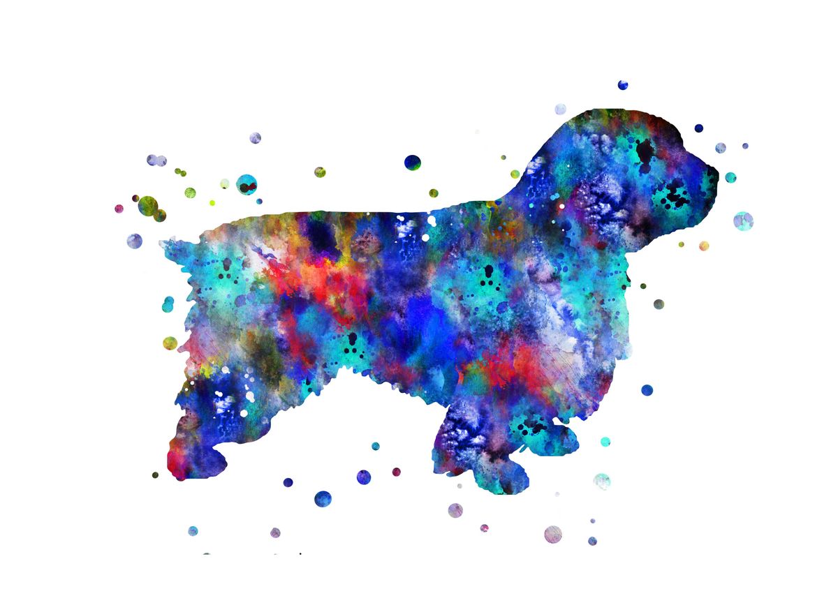 'Clumber Spaniel ' Poster, picture, metal print, paint by RosaliasArt ...