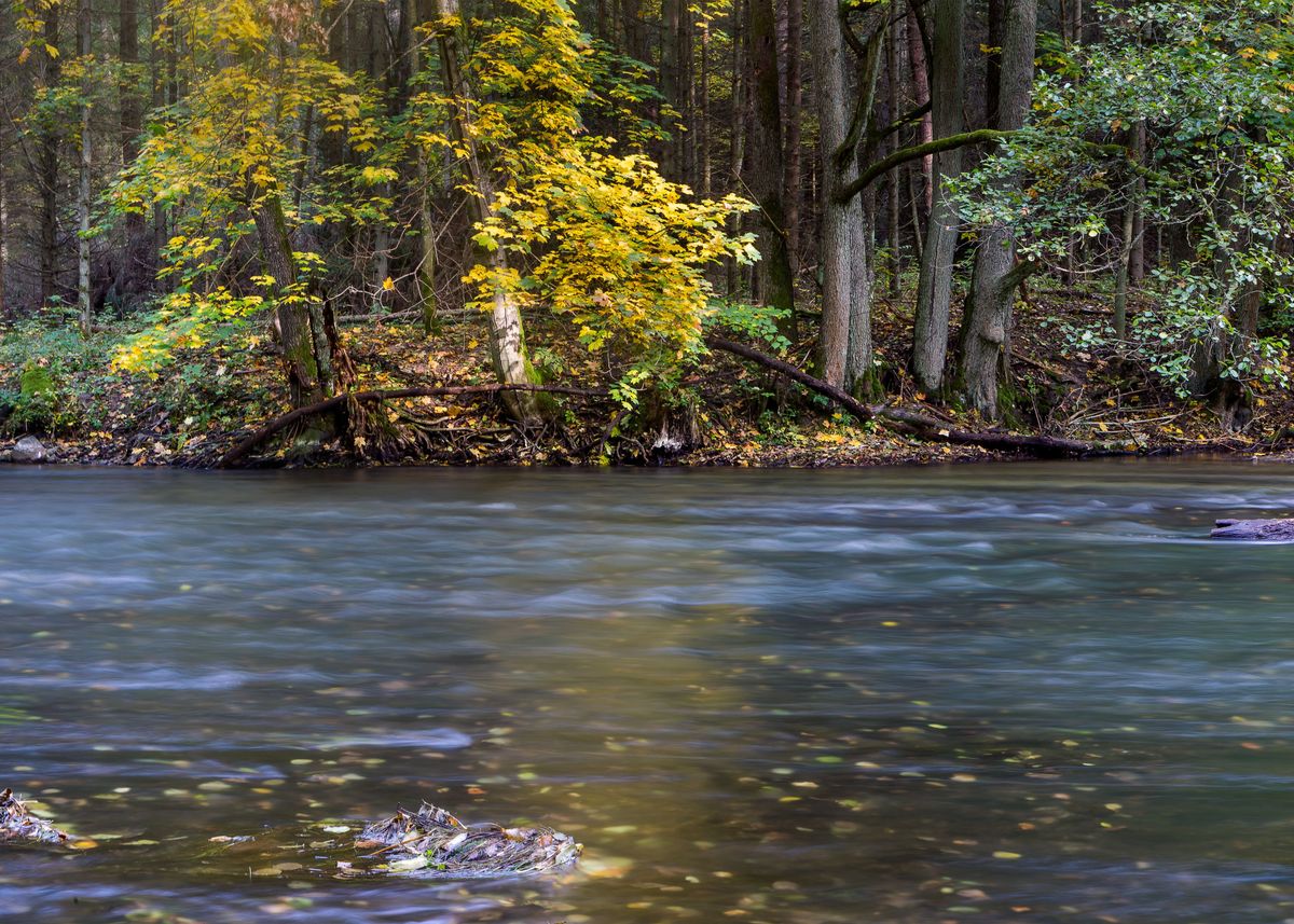 'Season Landscape River Pol' Poster, picture, metal print, paint by ...