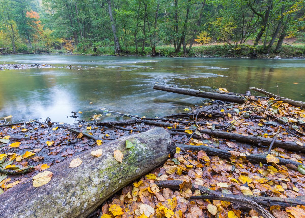 'Scenery Scenic River Polan' Poster, picture, metal print, paint by ...