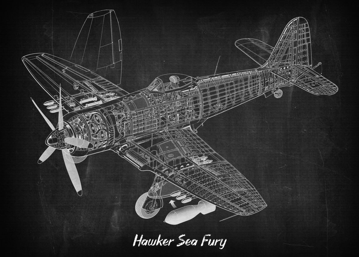 'Hawker Sea Fury' Poster, picture, metal print, paint by DAVID CARL ...