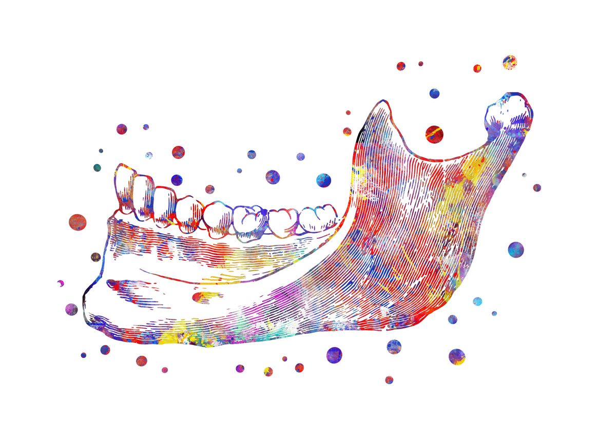 'Human mandible ' Poster by RosaliasArt | Displate