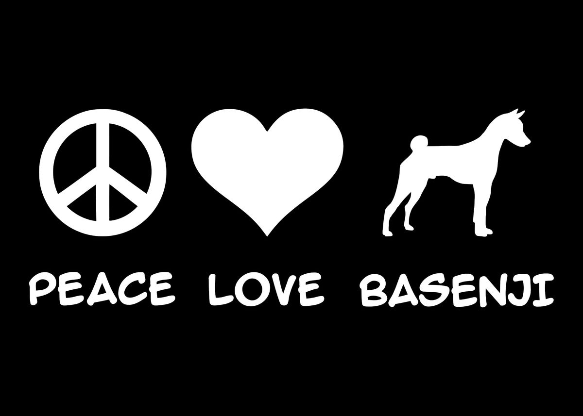 'Basenji' Poster, picture, metal print, paint by Designzz | Displate