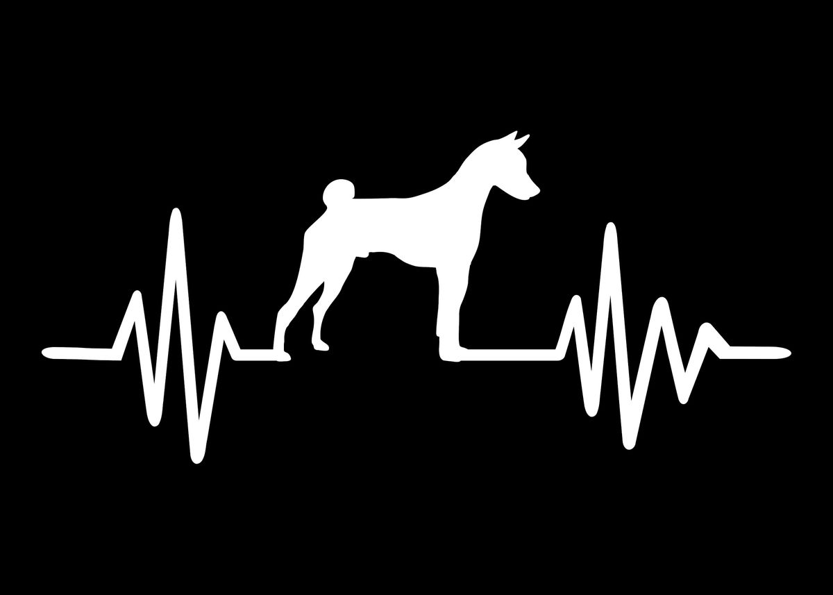 'Basenji' Poster, picture, metal print, paint by Designzz | Displate