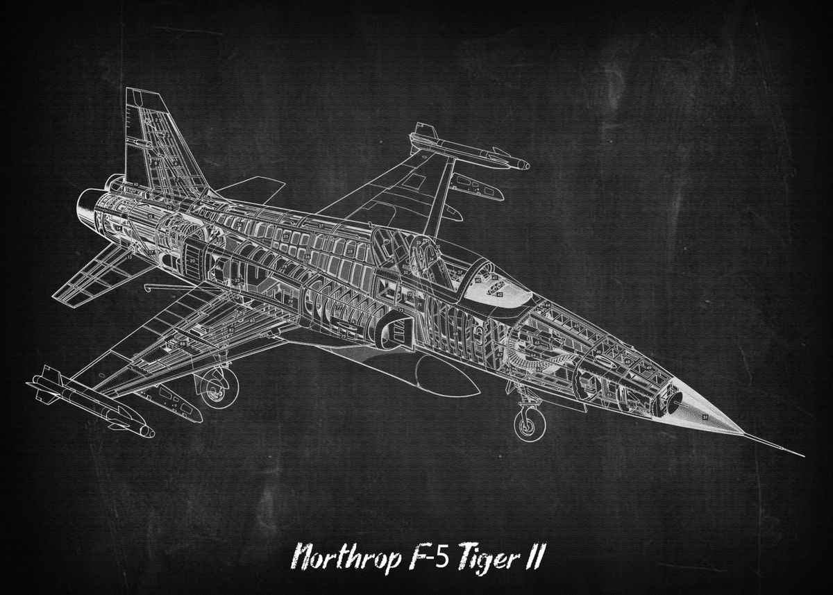 'Northrop F5 Tiger II' Poster, picture, metal print, paint by DAVID ...