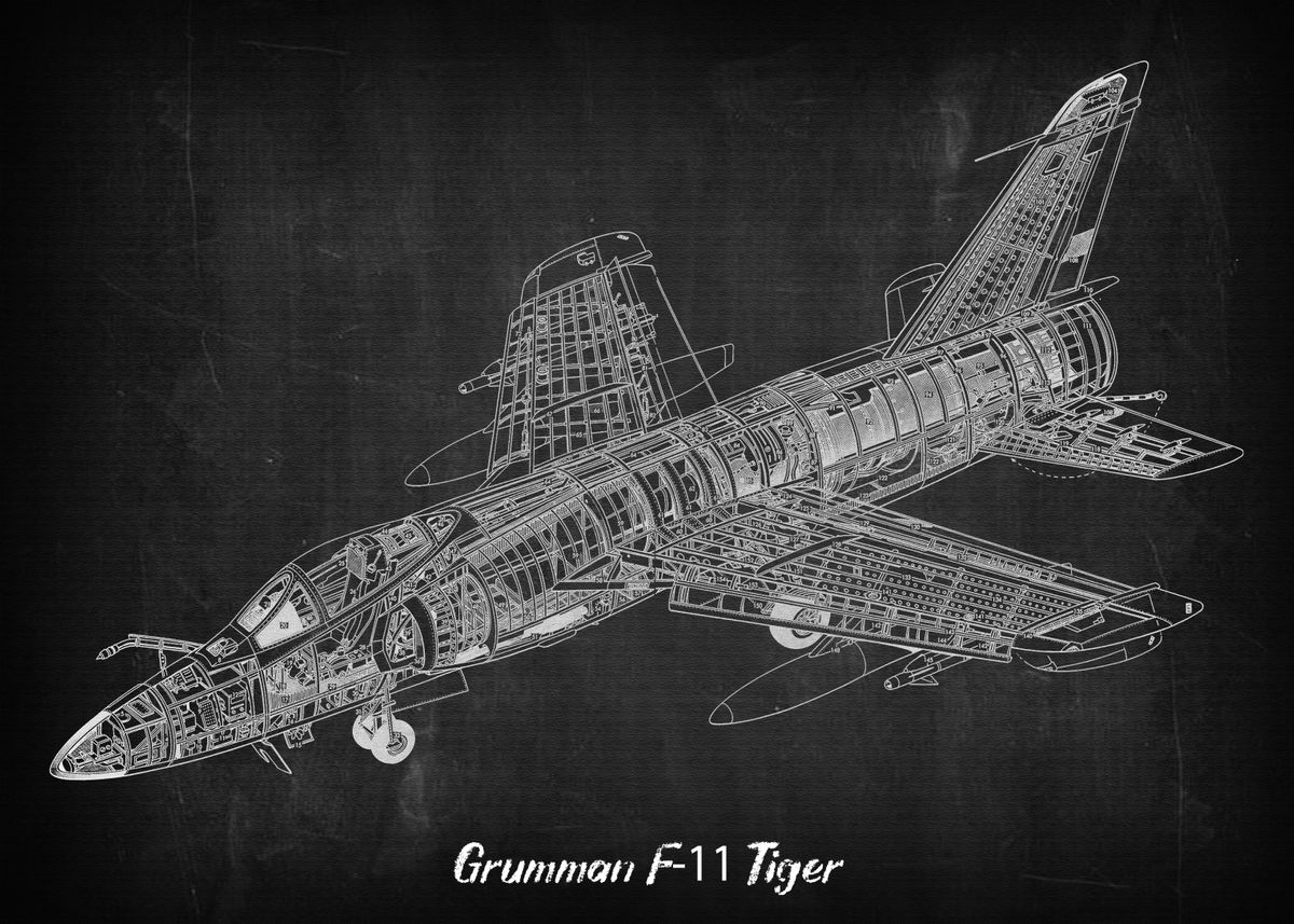 'Grumman F11 Tiger' Poster, picture, metal print, paint by DAVID CARL ...