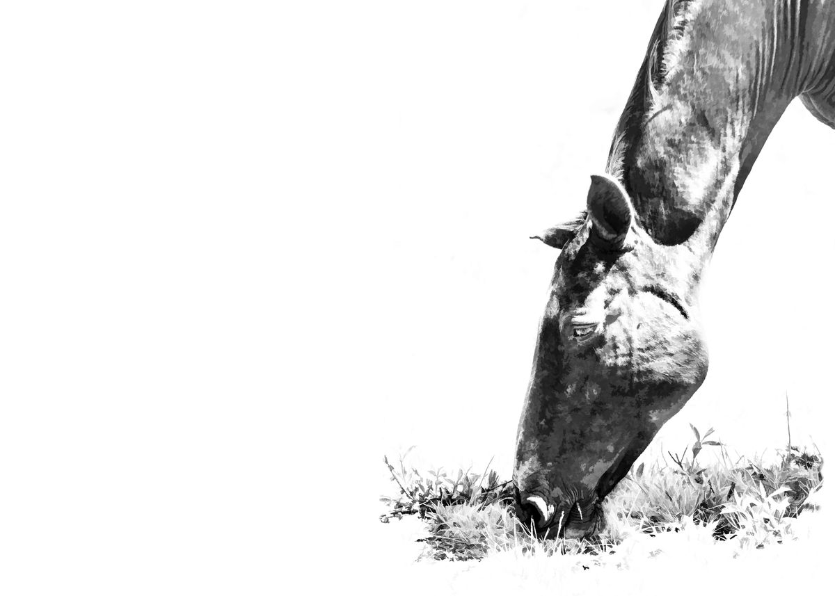 'Equanimity' Poster, picture, metal print, paint by Michelle | Displate