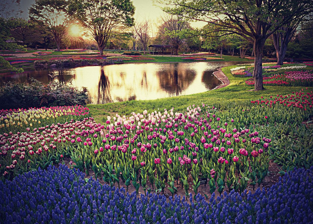 'Lanscape ' Poster, picture, metal print, paint by Beatriz | Displate