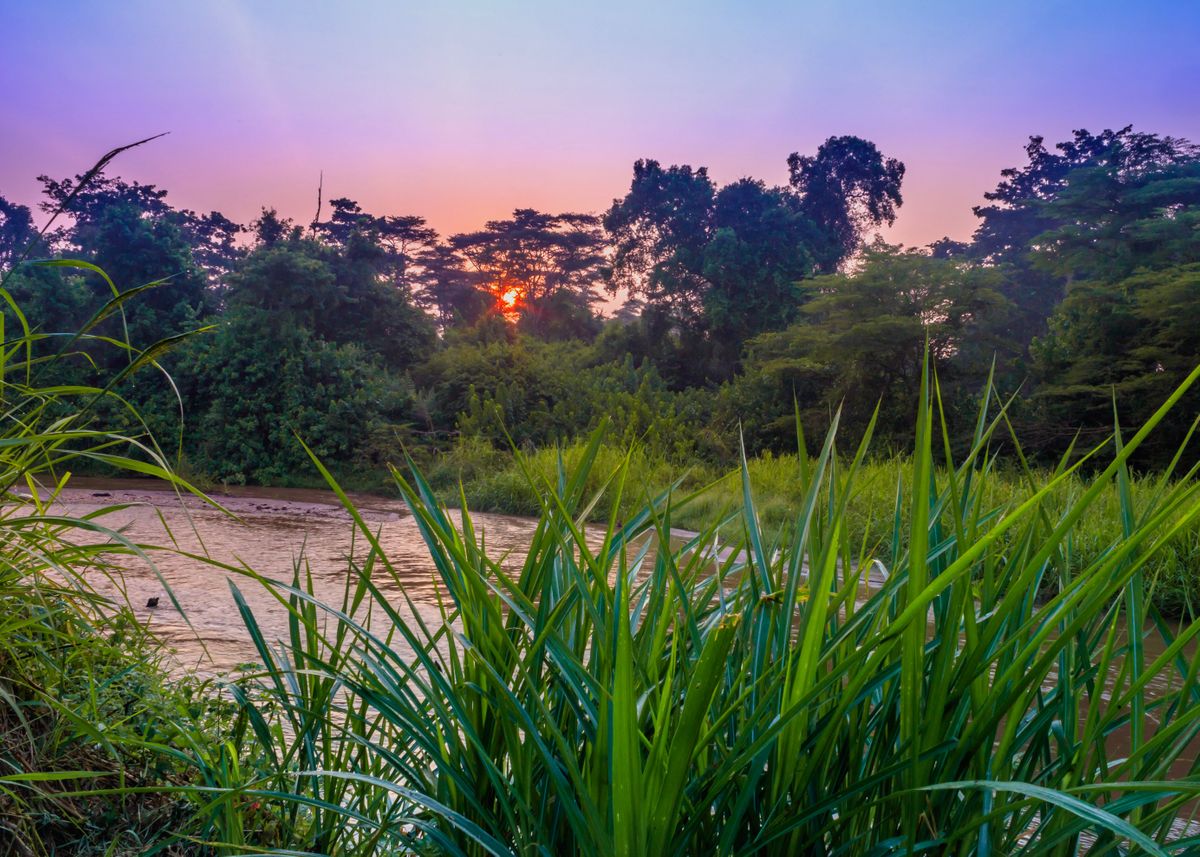 'Sunrise on Ishasha river ' Poster by Ava Peattie | Displate