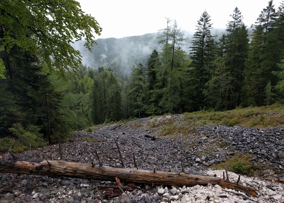 'Mittenwald 1' Poster by Roger Lehmann | Displate