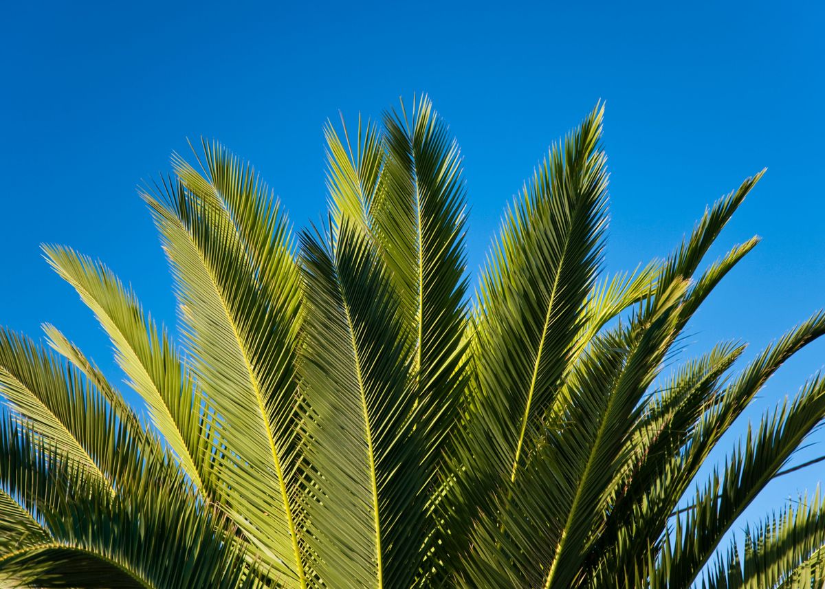 'Atlantic Blue Color Colorf' Poster, picture, metal print, paint by ...