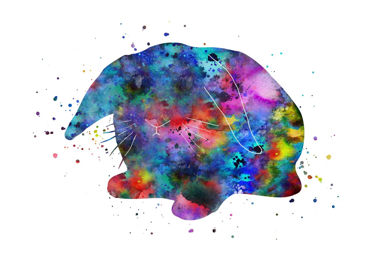 'Holland lop rabbit ' Poster, picture, metal print, paint by ...