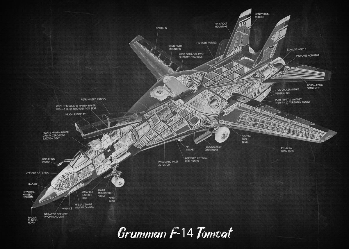 'Grumman F14 Tomcat' Poster, picture, metal print, paint by DAVID CARL ...