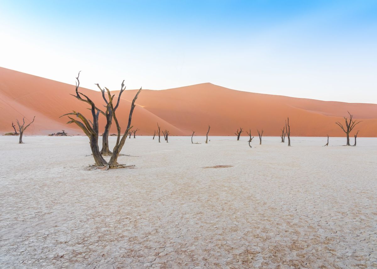 'Deadvlei Namibia' Poster, picture, metal print, paint by maramade ...