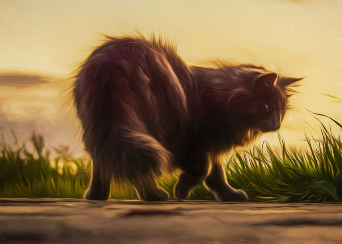 'Feral Cat' Poster, picture, metal print, paint by Armstrong | Displate